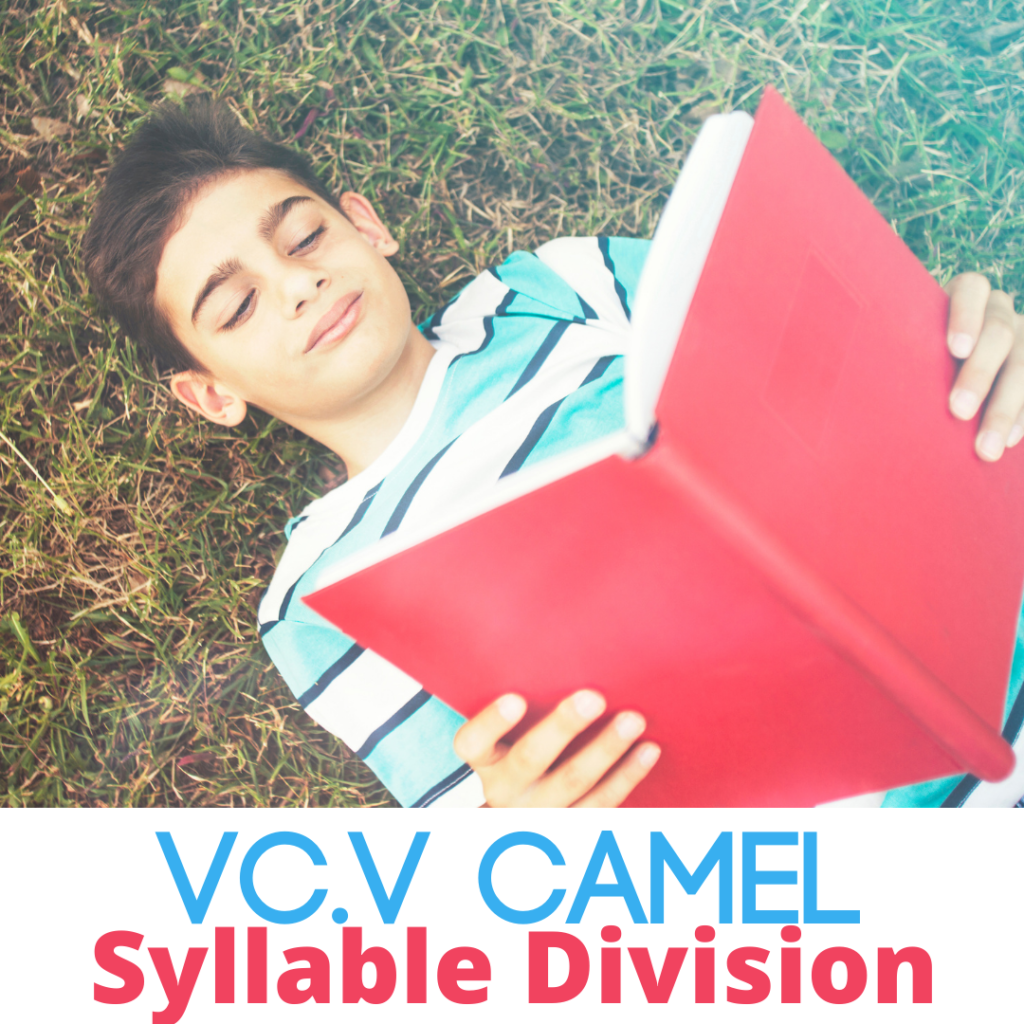 VCV Tiger and Camel Syllable Division - Teach. Run. Create.