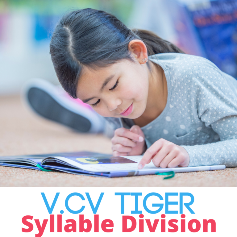 VCV Tiger and Camel Syllable Division - Teach. Run. Create.