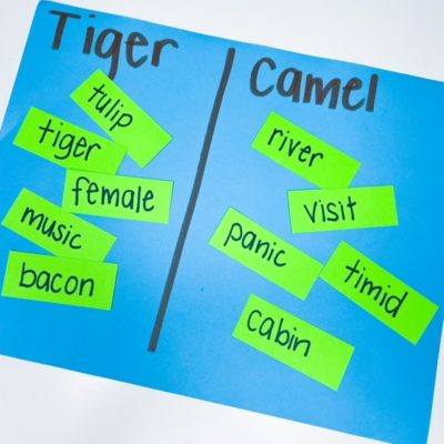 VCV Tiger and Camel Syllable Division - Teach. Run. Create.