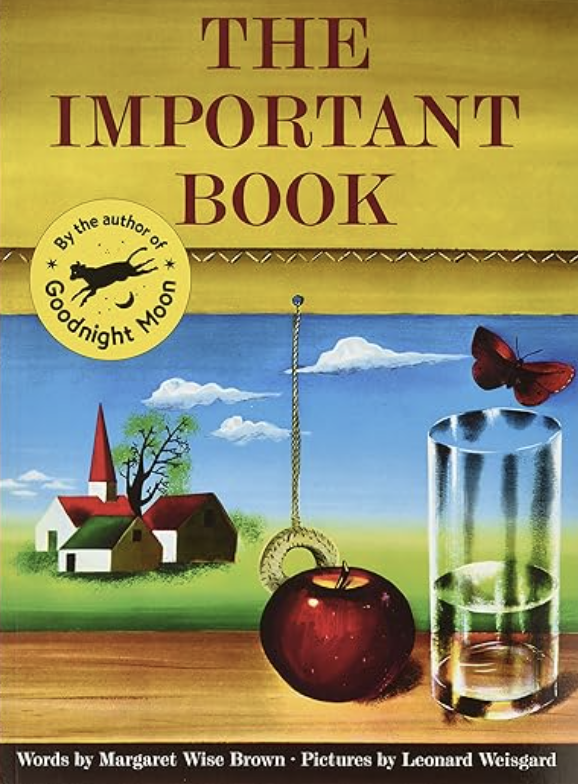 Teaching Main Idea with "The Important Book" - Teach. Run. Create.